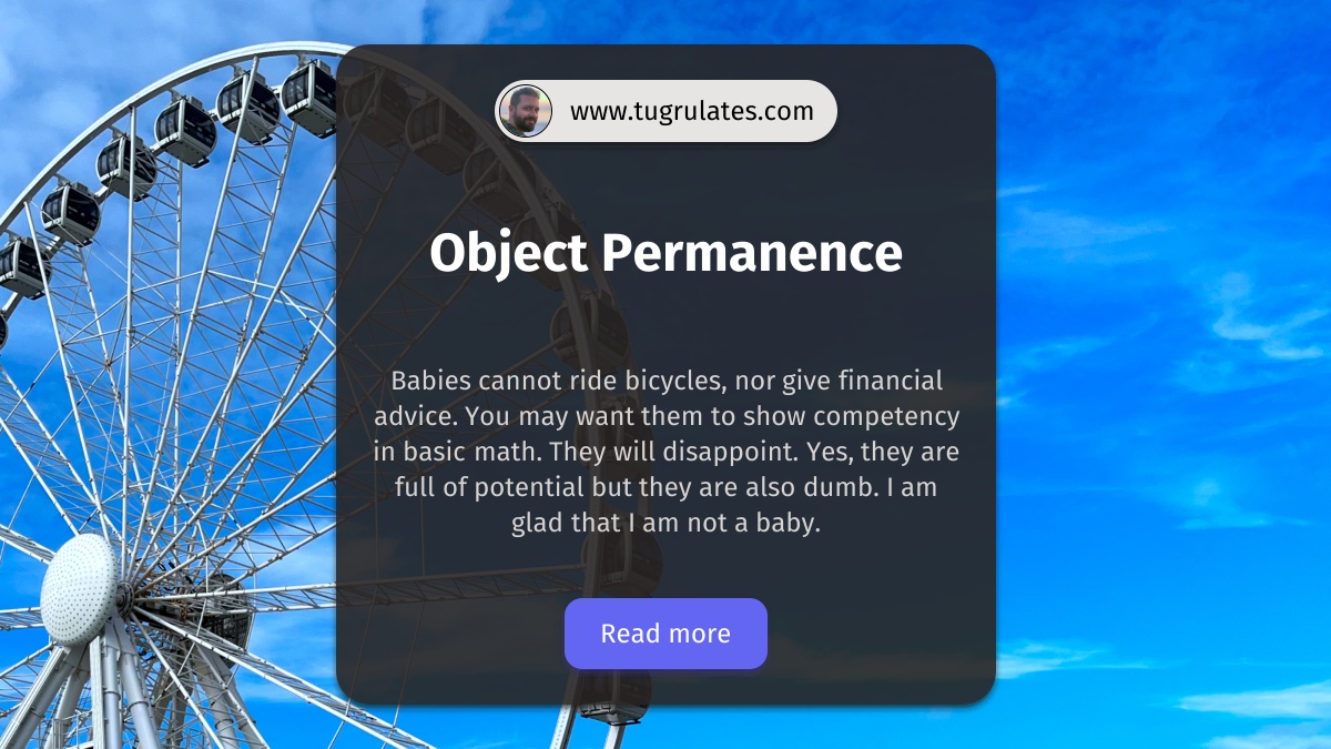 Object Permanence